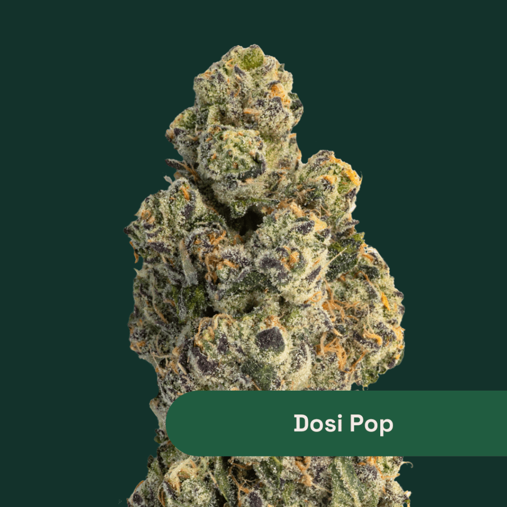 Explore The Botanist | Dosi Pop Cannabis Strain by The Botanist