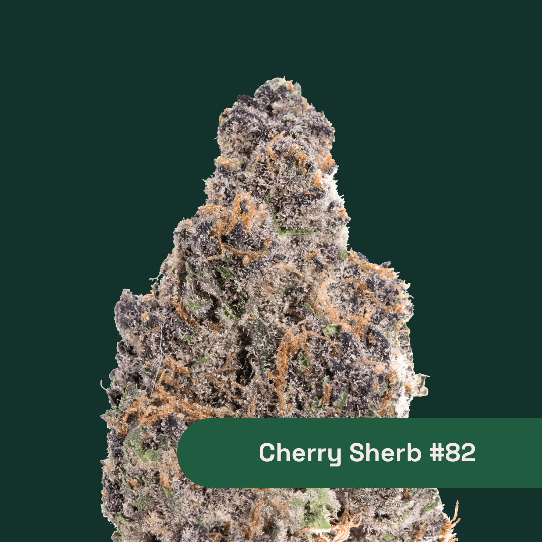 Explore The Botanist | Cherry Sherb Cannabis Strain by The Botanist