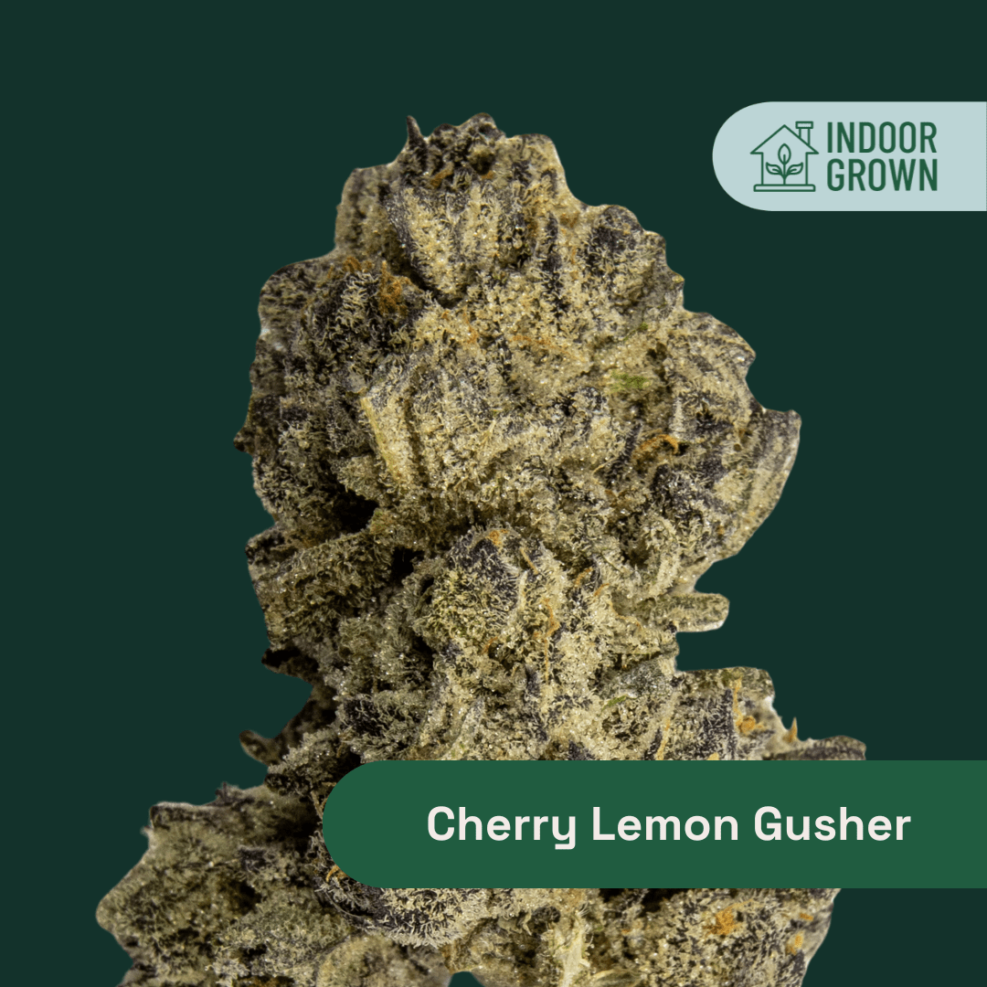 Explore The Botanist | Cherry Lemon Gusher Cannabis Strain by The Botanist