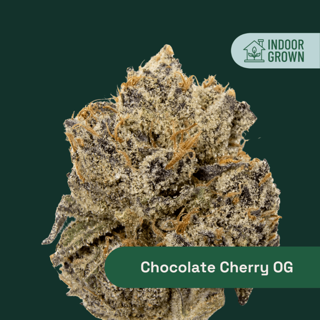 Explore Botanist | Chocolate Cherry OG Cannabis Strain by The Botanist