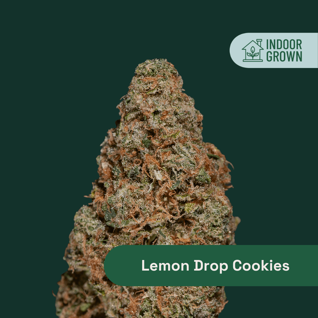 Explore Botanist | Lemon Drop Cookies Strain by Botanist
