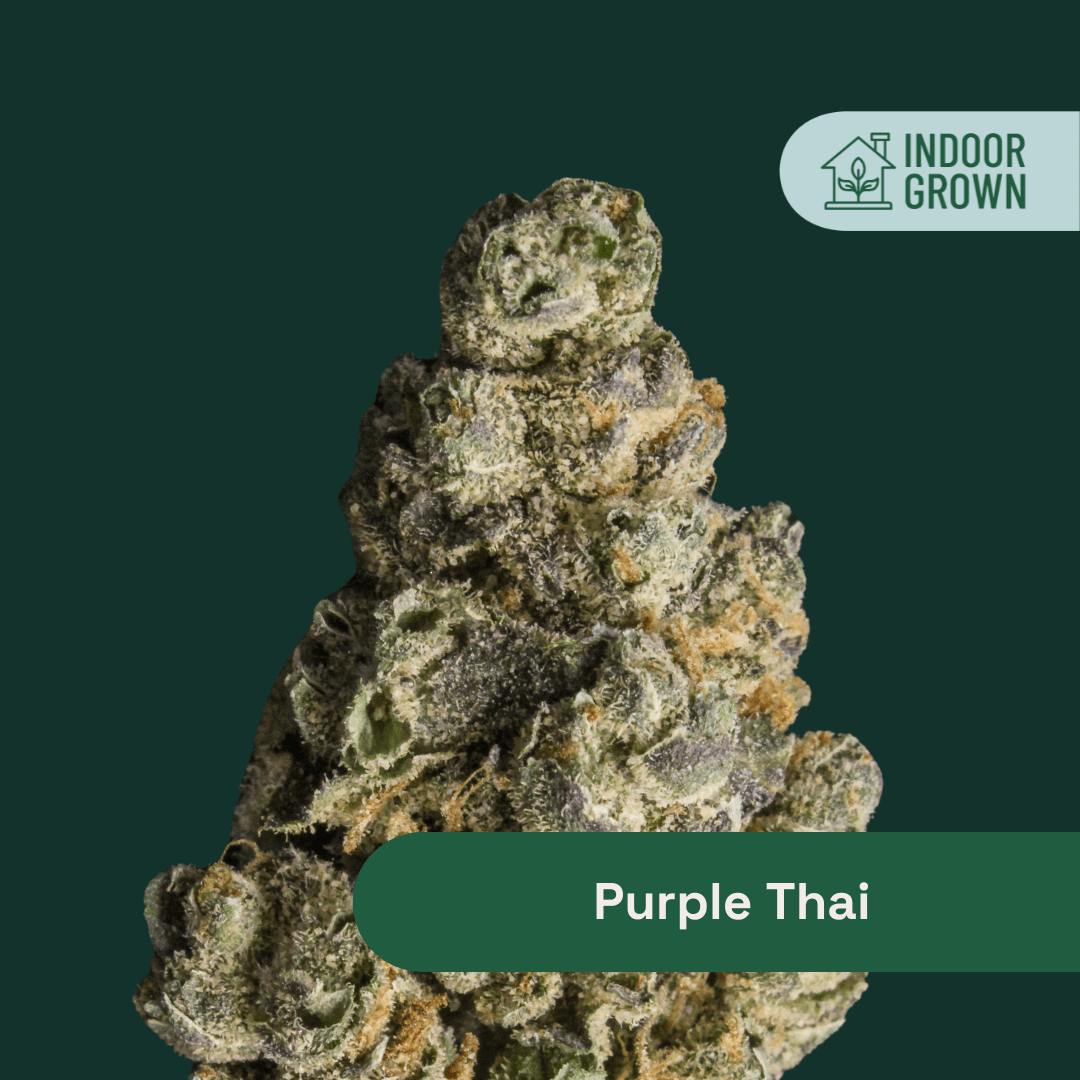 Explore The Botanist | Purple Thai Cannabis Strain by The Botanist