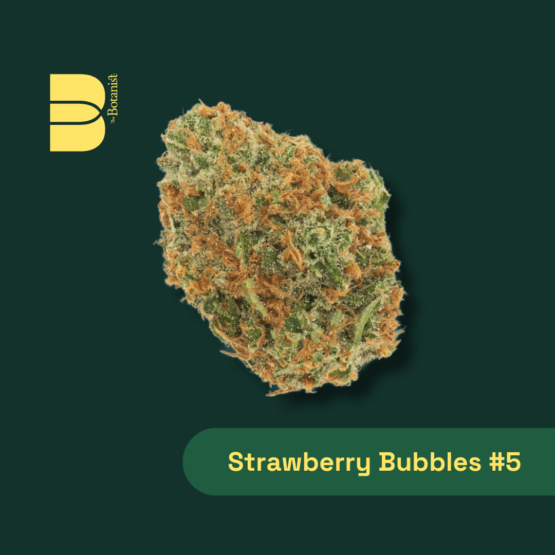 The Botanist | Strawberry Bubbles Cannabis Strain By The Botanist