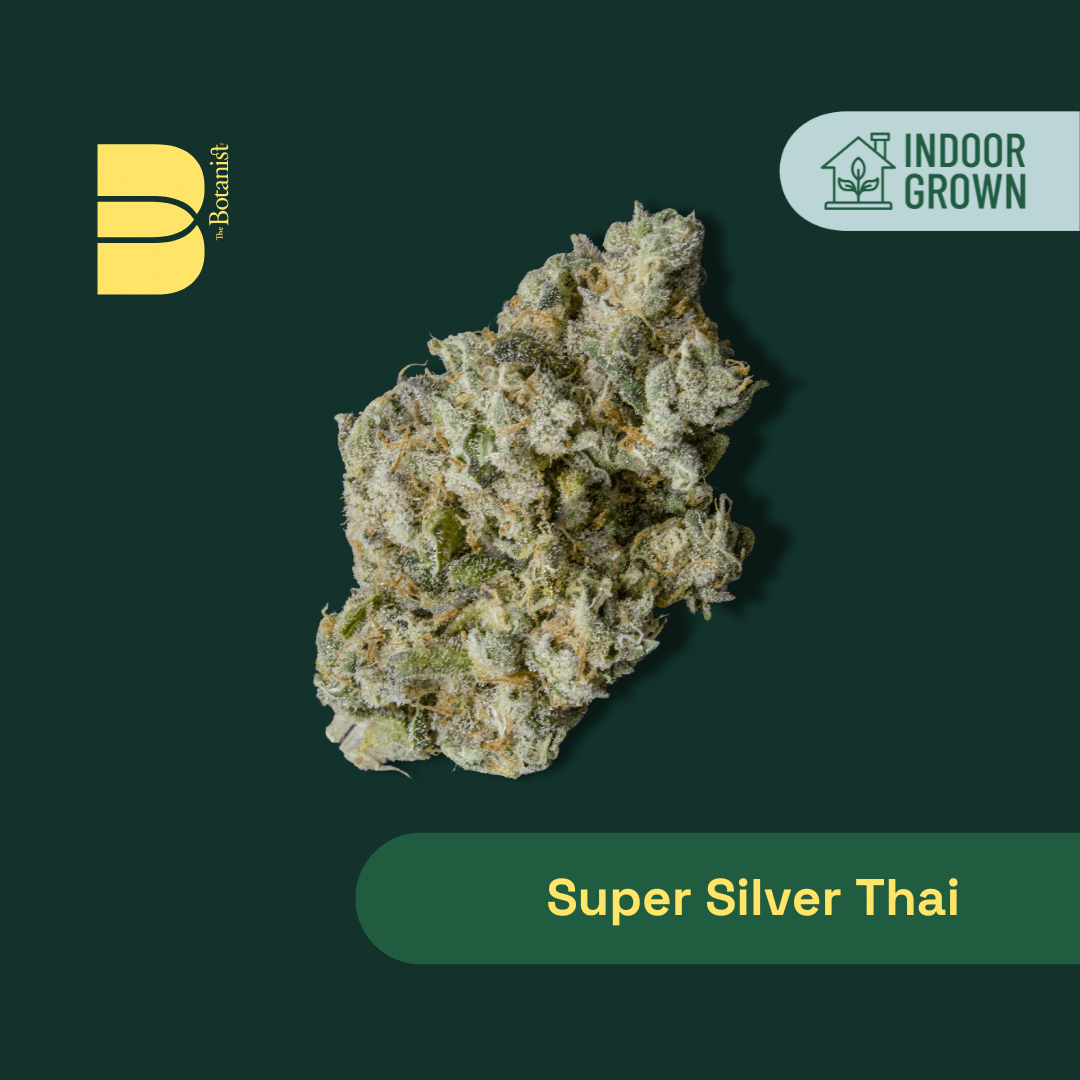 The Botanist | Super Silver Thai Cannabis Strain By The Botanist