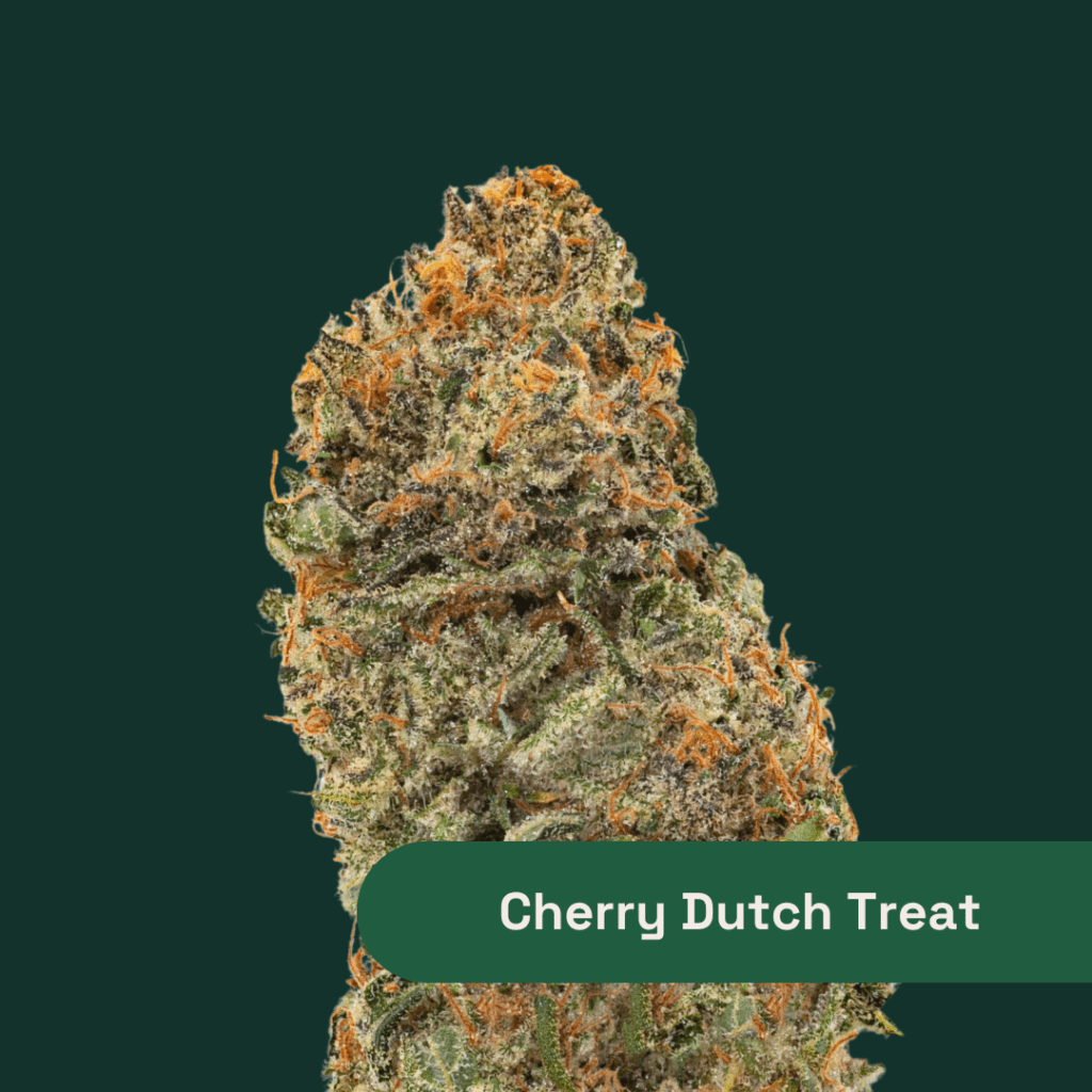 Explore The Botanist | Cherry Dutch Treat Cannabis Strain by The Botanist