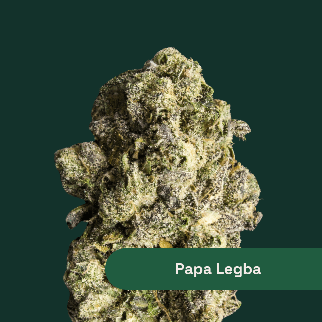 Explore The Botanist | Papa Legba Cannabis Strain by The Botanist