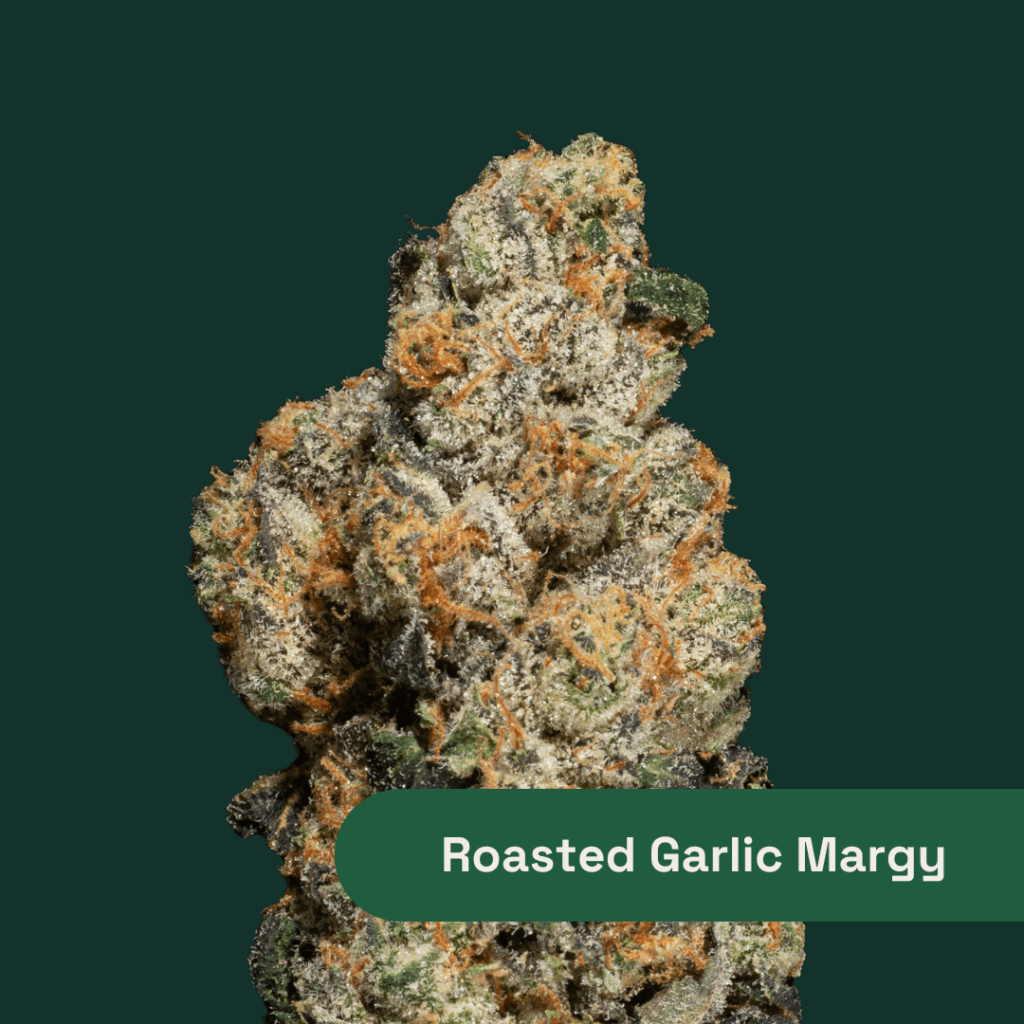 Explore The Botanist | Roasted Garlic Margy Cannabis Strain by The Botanist
