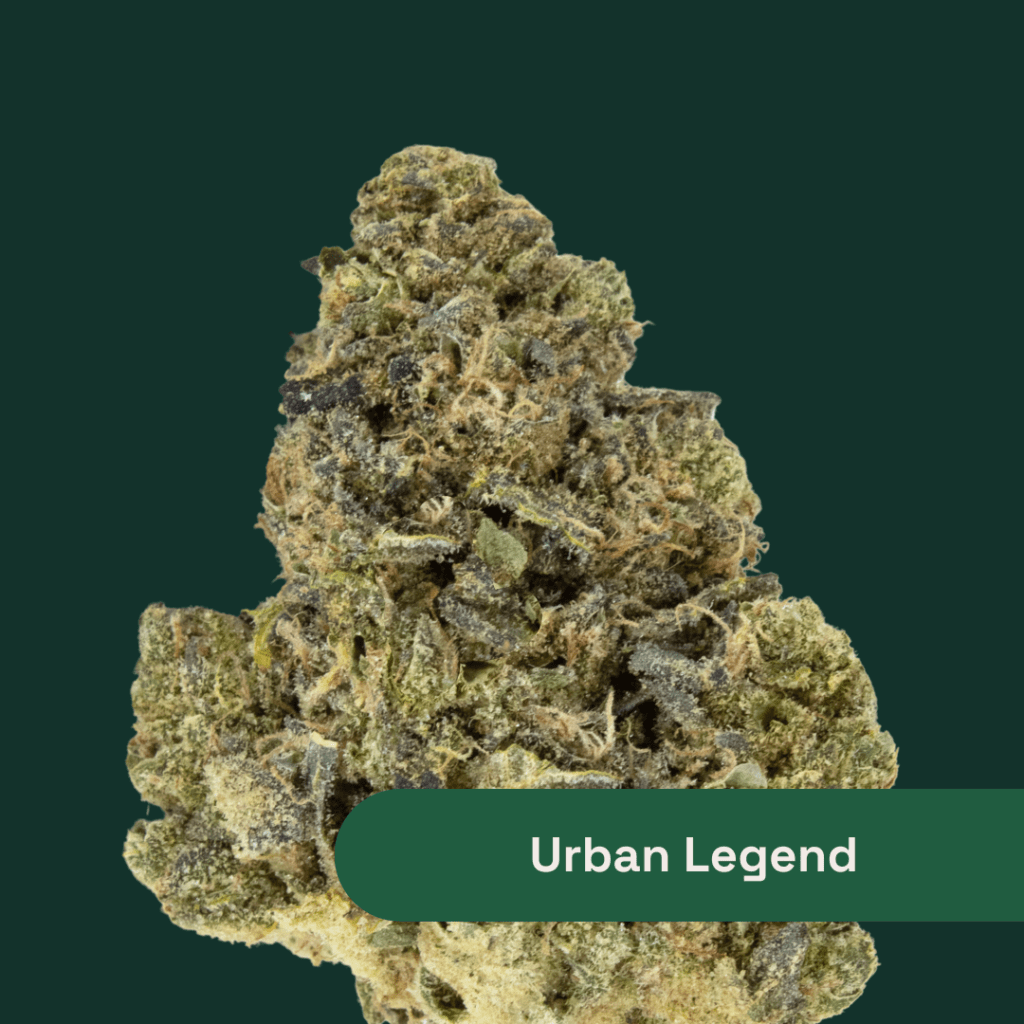 Explore Botanist | Urban Legend Cannabis Strain by The Botanist