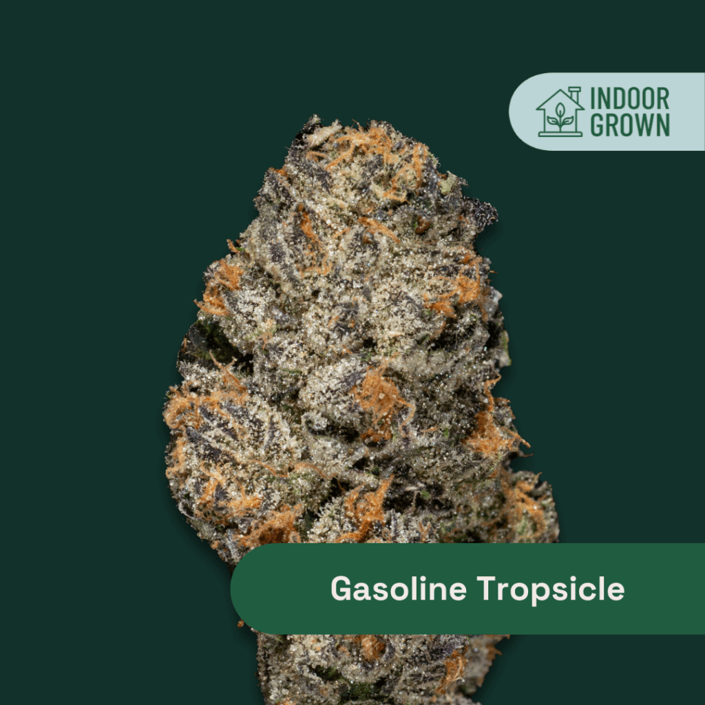 Explore The Botanist | Gasoline Tropsicle Cannabis Strain by Botanist