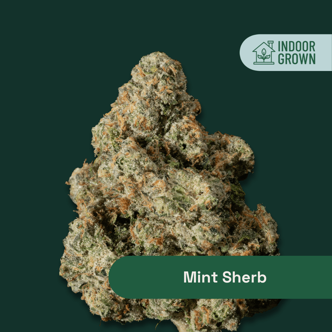 Explore The Botanist | Mint Sherb Cannabis Strain by Botanist