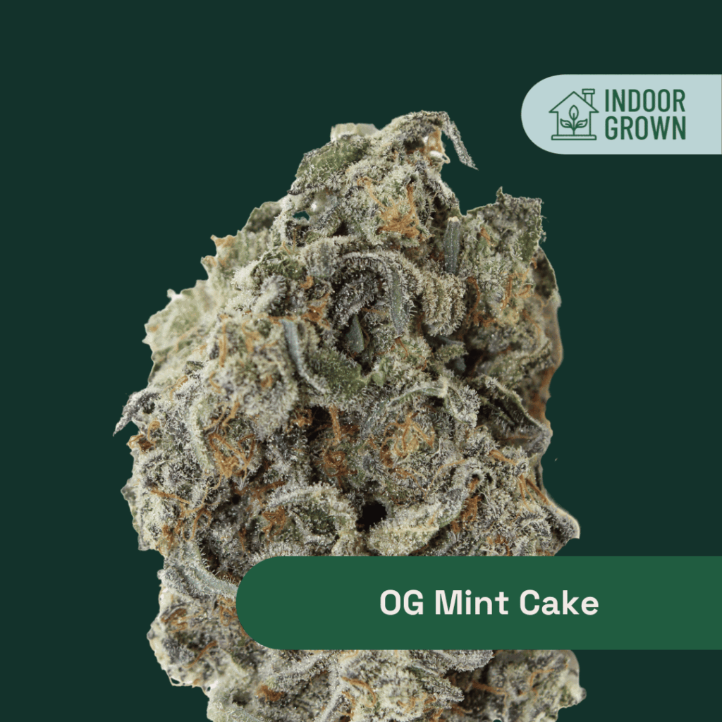 Explore Botanist | OG Mint Cake Strain by Botanist