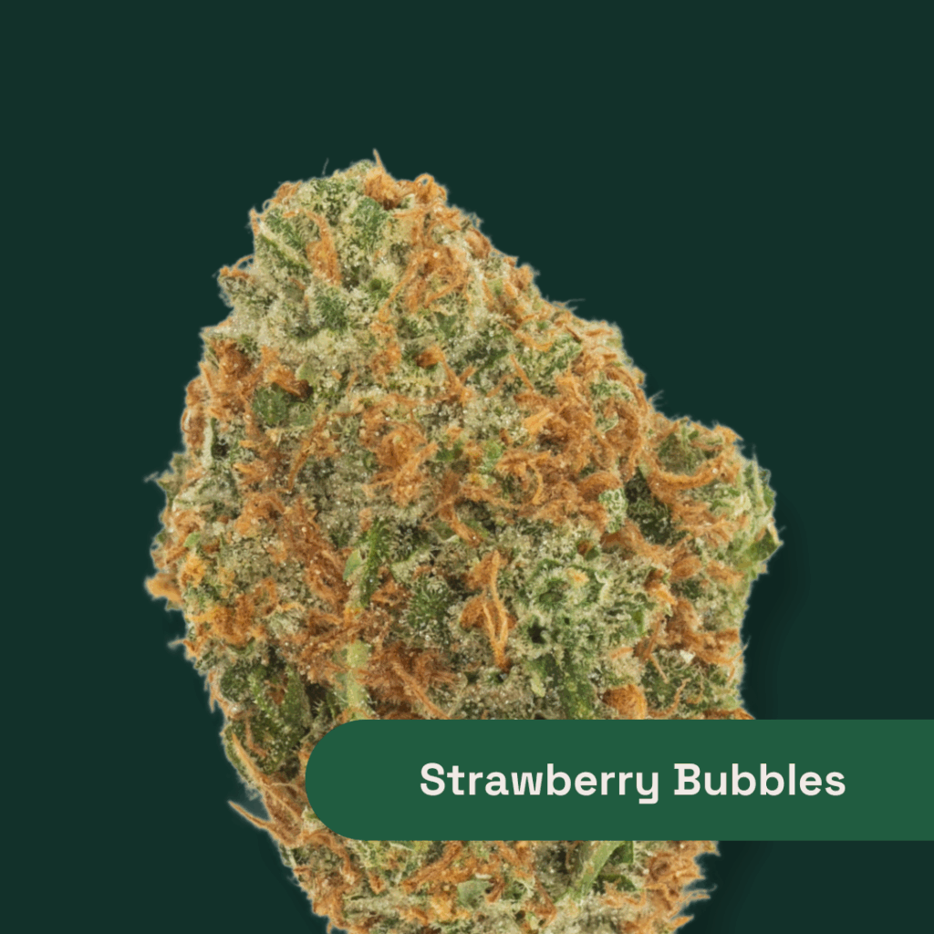 Explore The Botanist | Strawberry Bubbles Cannabis Strain by Botanist