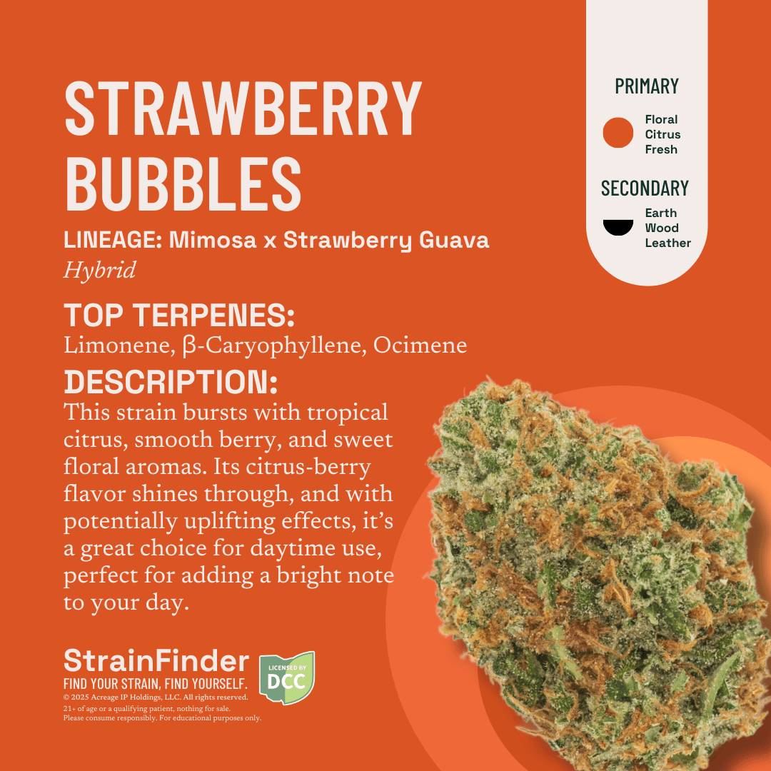 Explore The Botanist | Strawberry Bubbles Cannabis Strain by Botanist