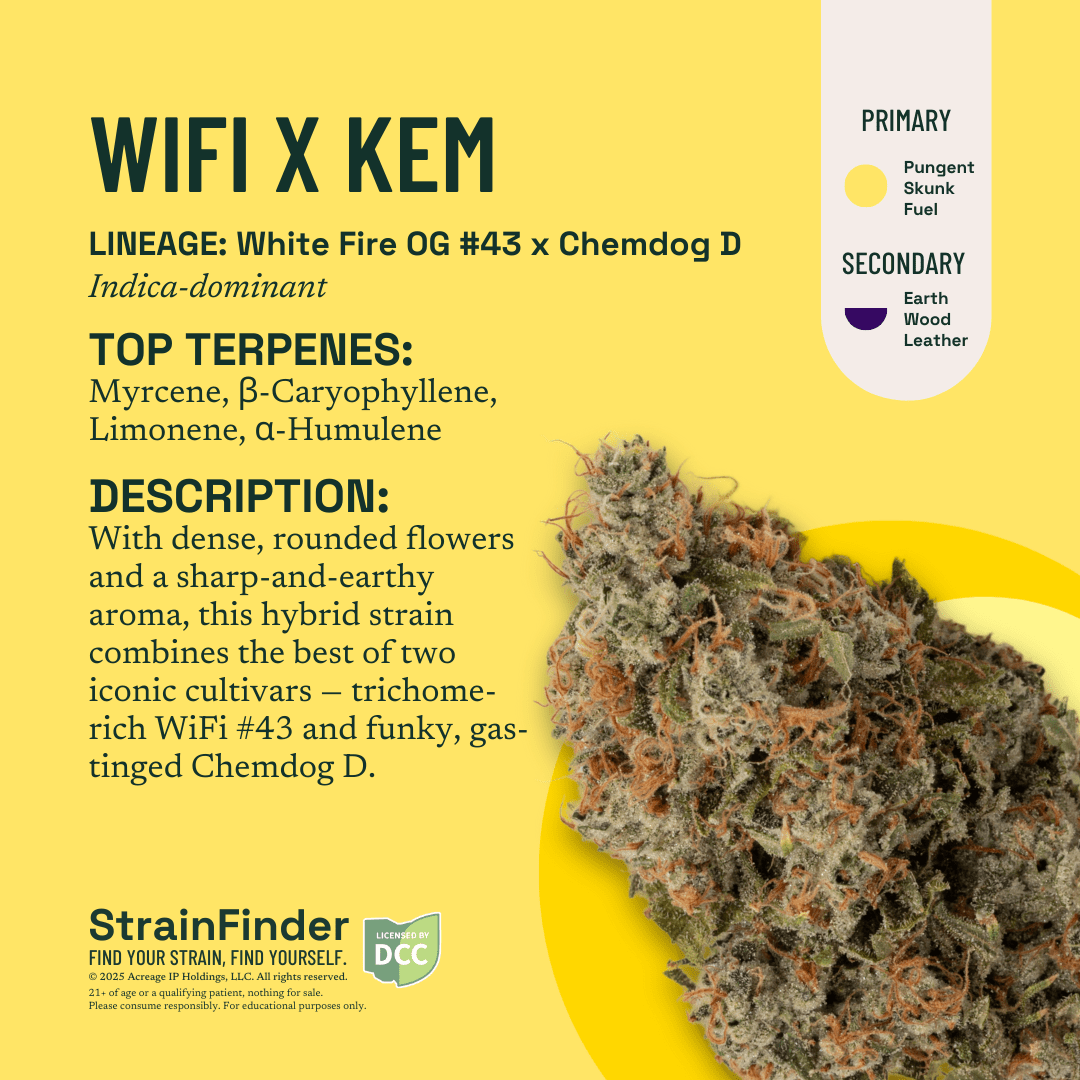 Explore The Botanist | Wifi x Kem Cannabis Strain by Botanist